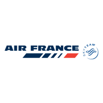 Air France Skyteam logo vector