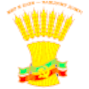 APR logo logo vector