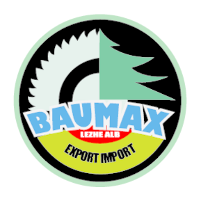 baumax albania logo vector