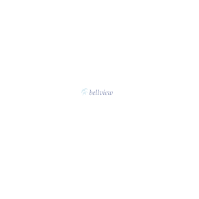 Bellview Airlines logo vector