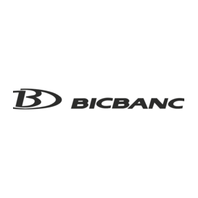 Bic Banco logo vector