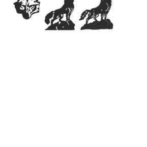 bozkurt logo vector