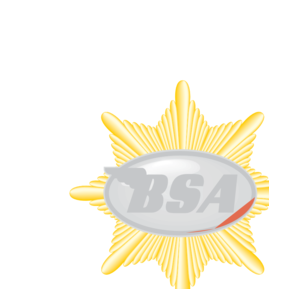 BSA Motorcycles logo vector