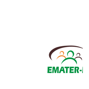EMATER-MG logo vector