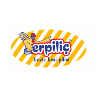 Erpiliç logo vector