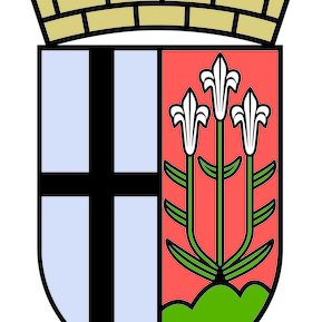 Fulda Wappen logo vector