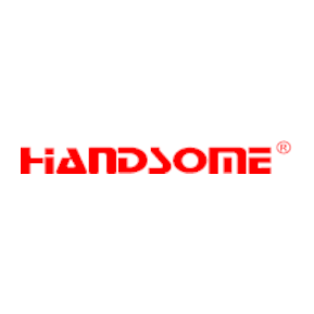 Handsome logo vector