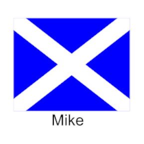 Mike Flag logo vector