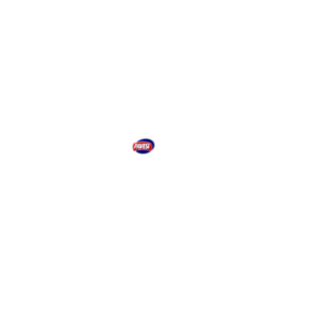 Pavesi logo vector