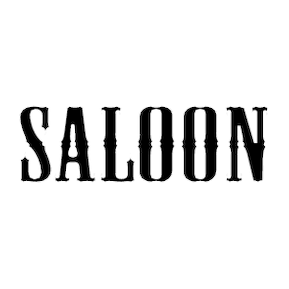 SALOON logo vector