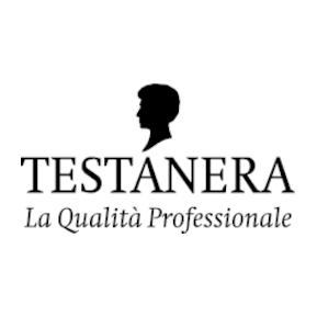 Testa Nera Logo Testa Nera Cinghiale Logo Design Grafico Vettoriale