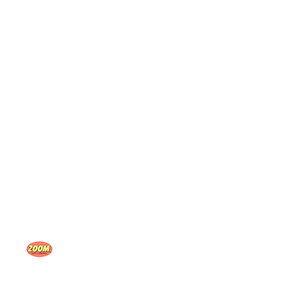 Zoom Baits Logo